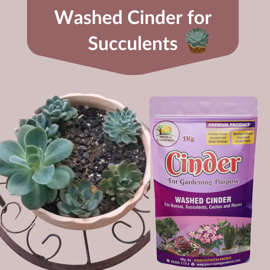 CINDER FOR POTTING MIX 1KG – Your Organic Products